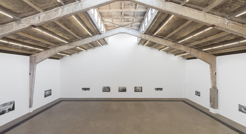 Serse | Artist | Galleria Continua