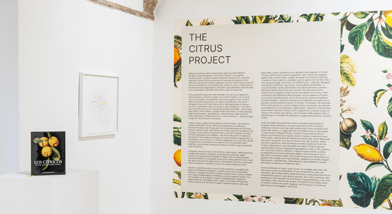 The Citrus Project | 13/04/2024 | San Gimignano